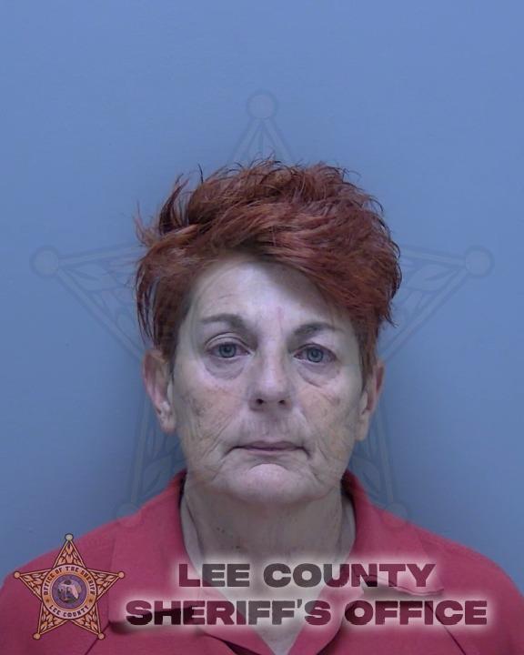 Island nurse accused of felony child neglect - Pineisland Eagle